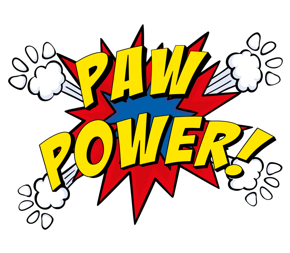 Bandanna Promotions – Elevate Your Clients' Brand