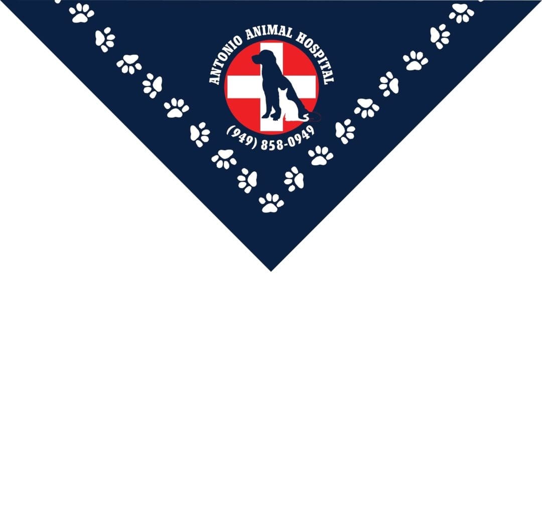Stock borders pet triangles - Bandanna Promotions